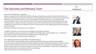 The Bridgehead Group | PPTX