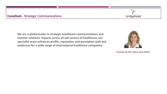 The Bridgehead Group | PPTX