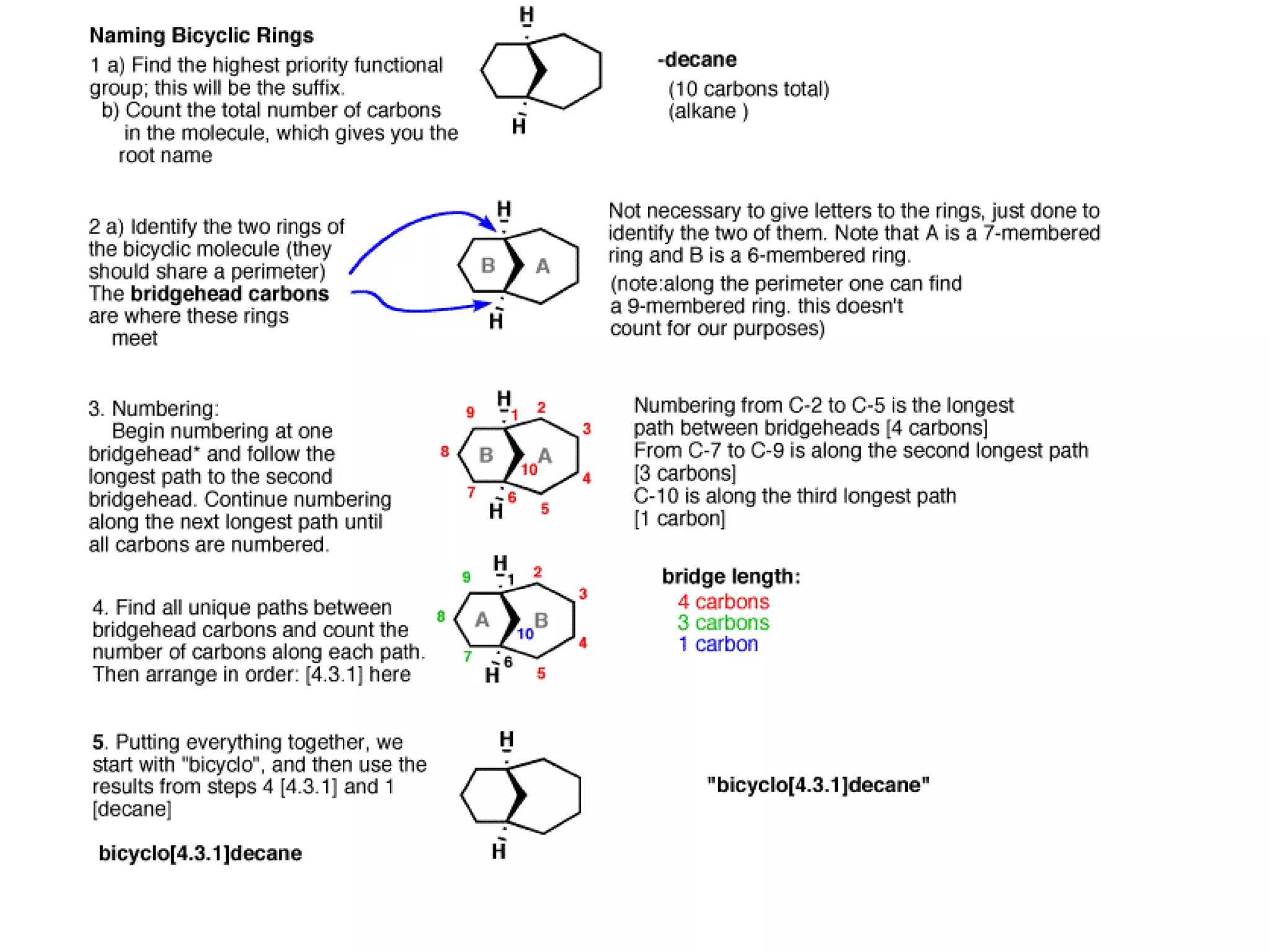 Bridge head system momenclature | PPT
