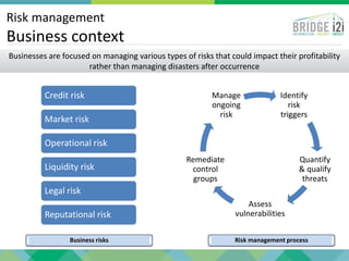 BRIDGEi2i Risk Management Solutions | PDF | Financial Industry | Industries