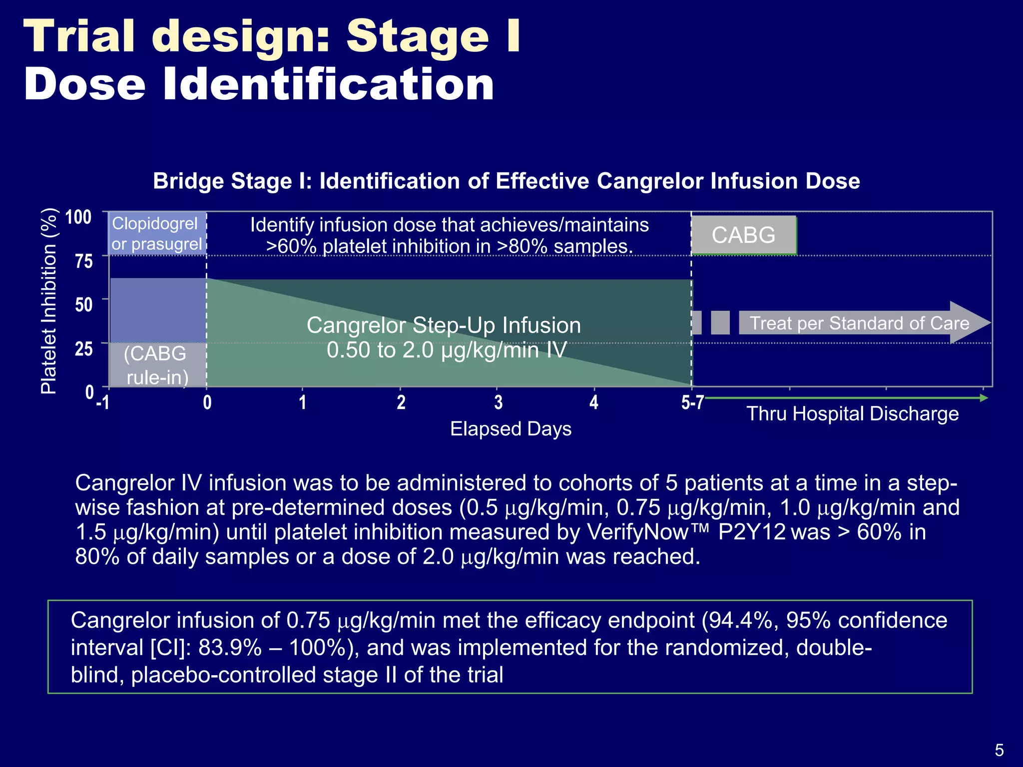 Bridge presentation slides | PPTX
