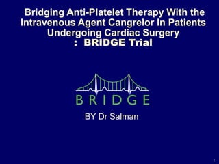 Bridge presentation slides | PPT