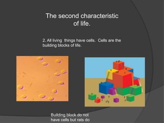 The Nine Characteristics of Life | PPT