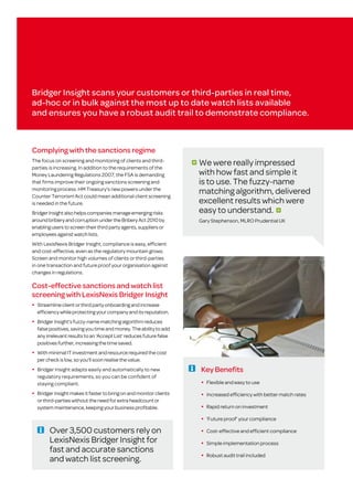 Bridger Insight brochure | PDF