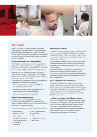 Bridger Insight brochure | PDF