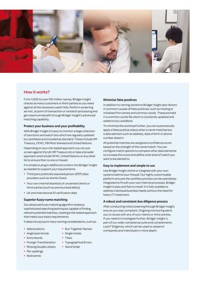 Bridger Insight brochure | PDF