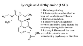 Fractal analysis of a sequence of LSD influenced self-portraits | PPT