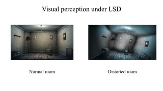 Fractal analysis of a sequence of LSD influenced self-portraits | PPT