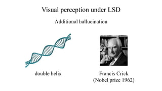 Fractal analysis of a sequence of LSD influenced self-portraits | PPT