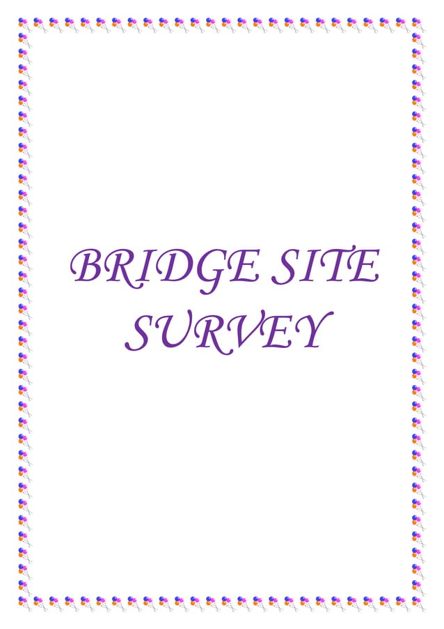 Bridge site survey 01 | DOCX
