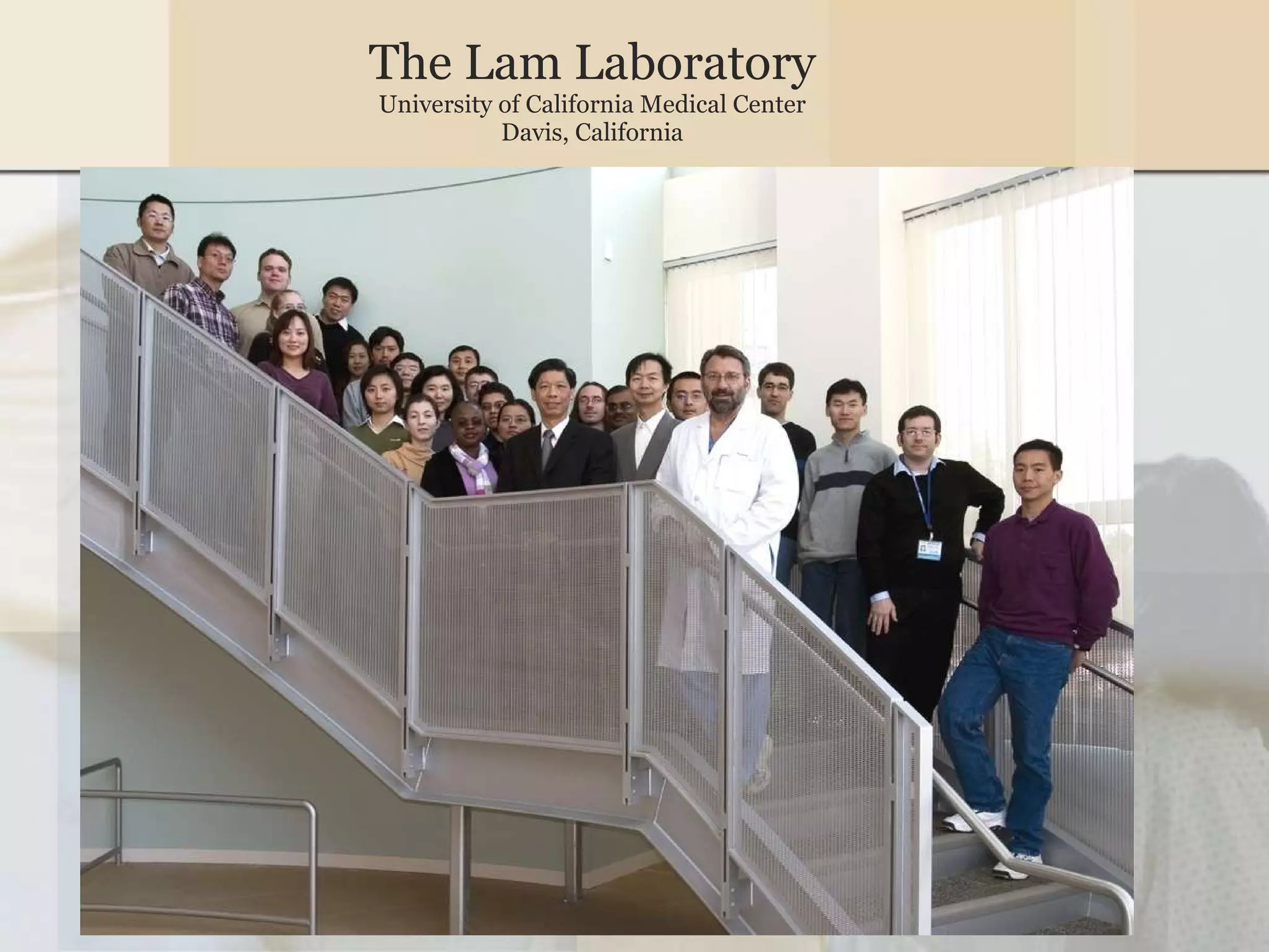 Bridgestobiochallenges R3 | PPT