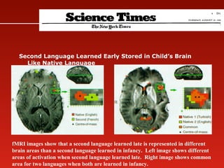 Bridging Brain Mind & Behavior | PPT