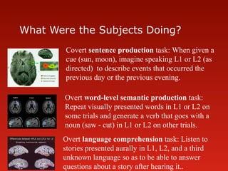 Bridging Brain Mind & Behavior | PPT