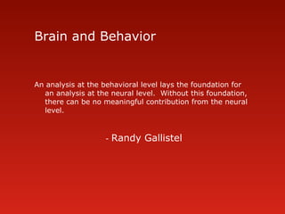 Bridging Brain Mind & Behavior | PPT