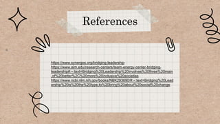 BRIDGING LEADERSHIP.ppt