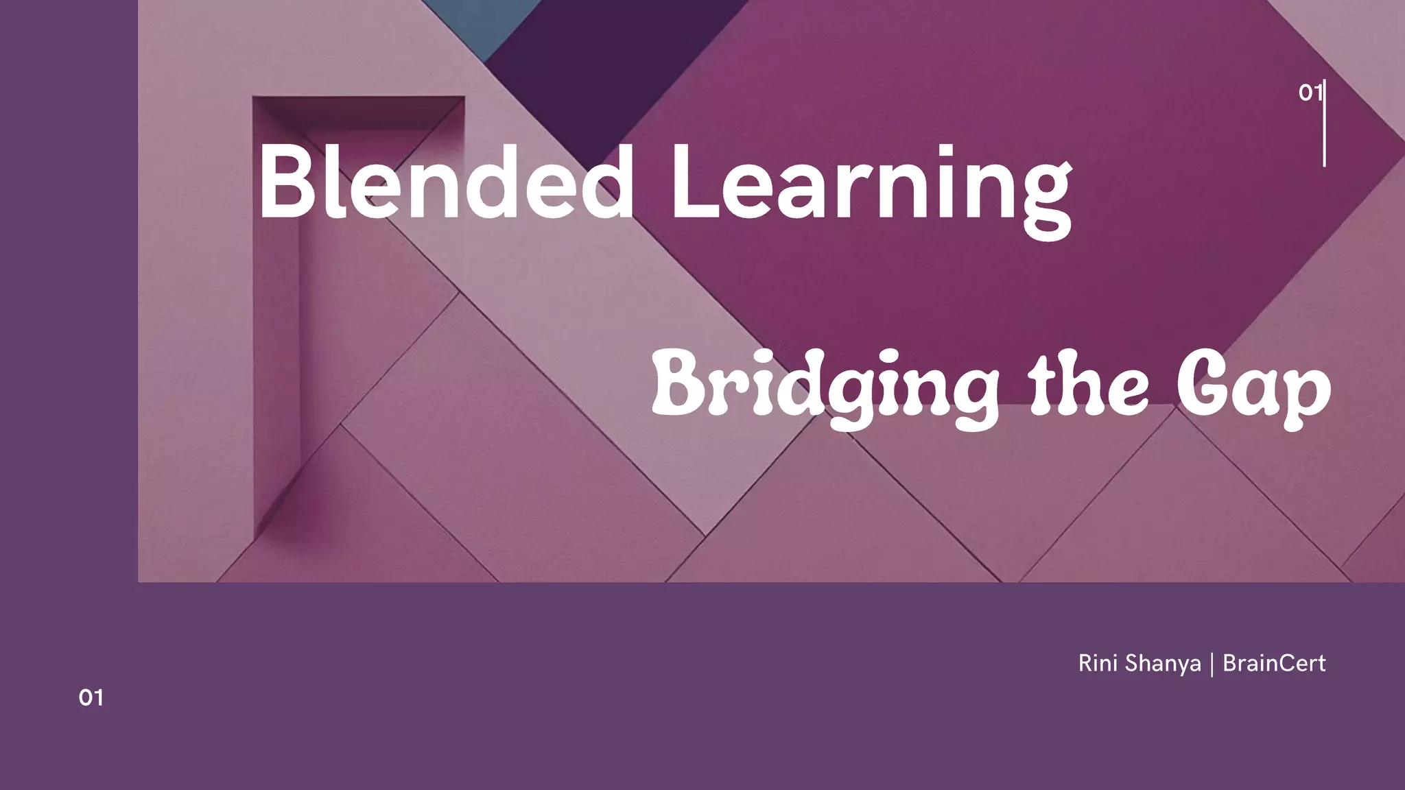 Bridging the Educational Gap.pptx