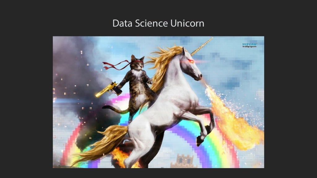 Data Science Unicorn
