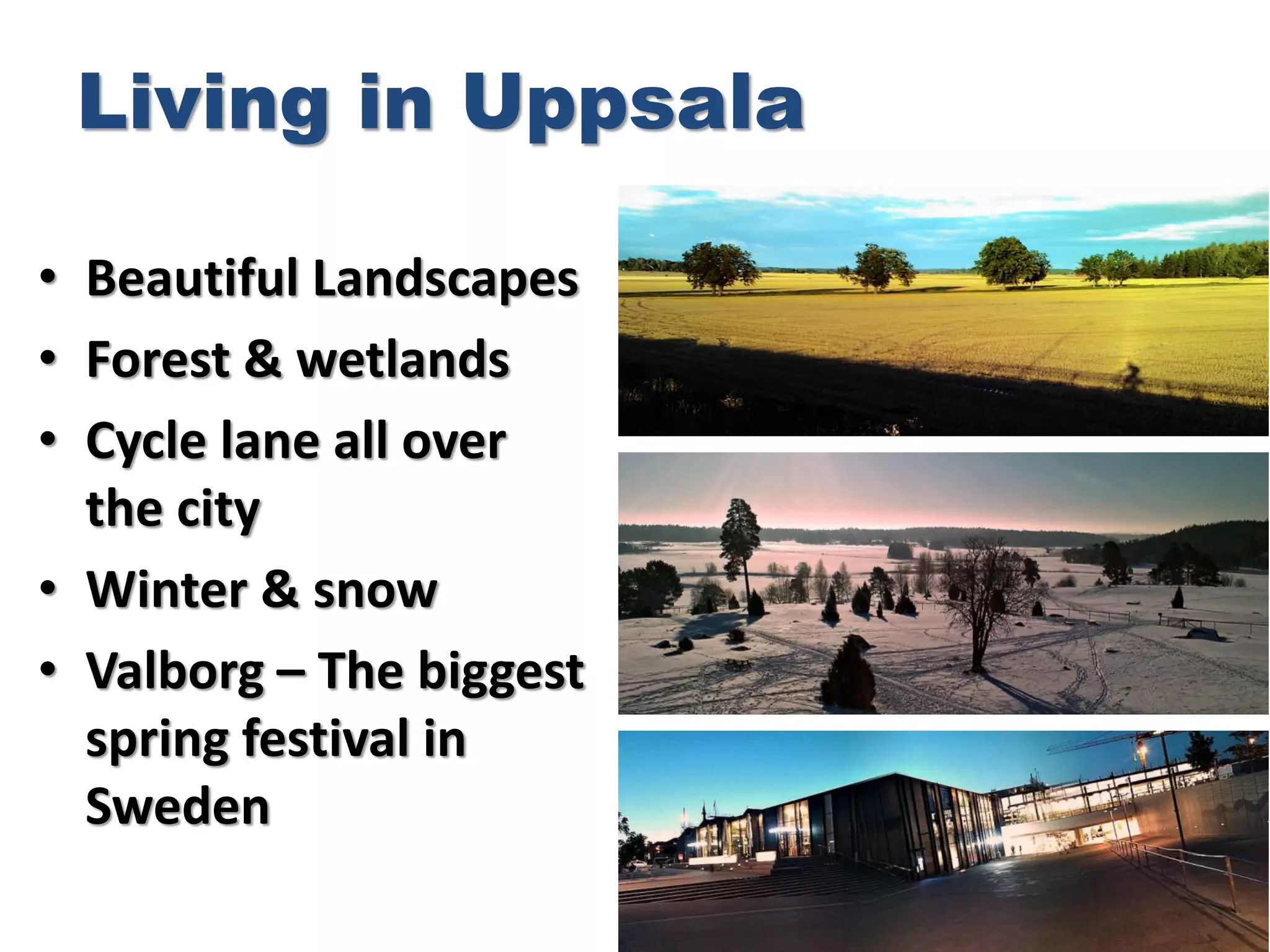 [2012.01] Brief introduction of Uppsala university | PDF