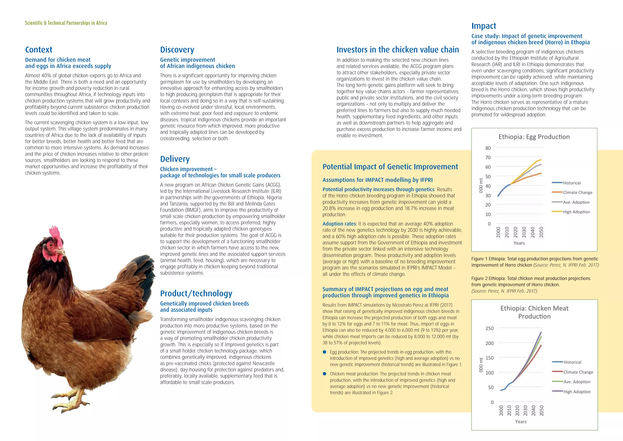 African Indigenous Chicken Productivity | PDF