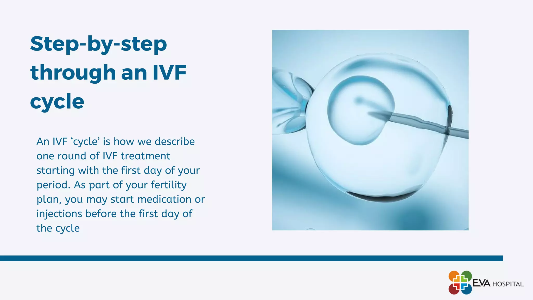 Brief Explanation About IVF | PDF