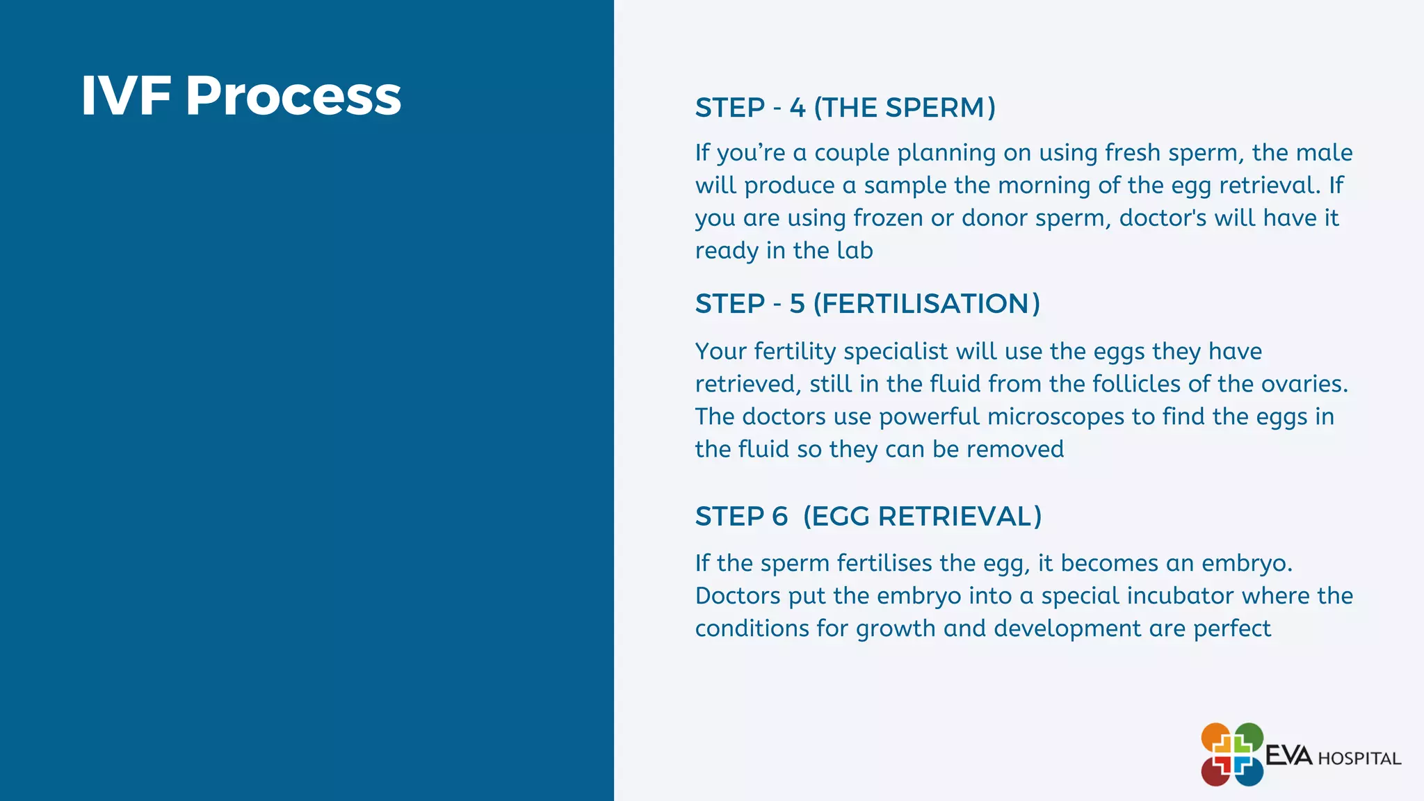 Brief Explanation About IVF | PDF