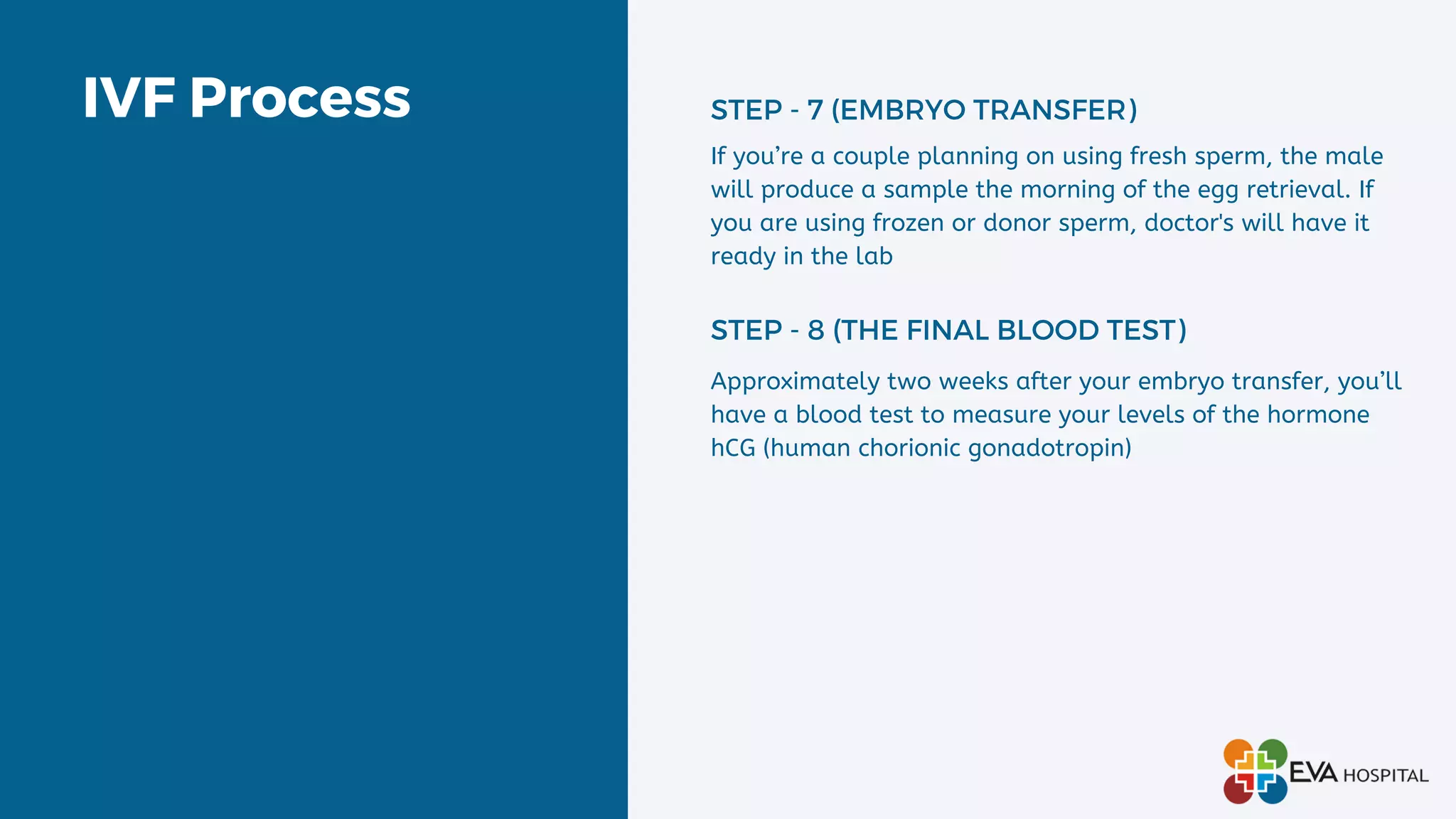 Brief Explanation About IVF | PDF