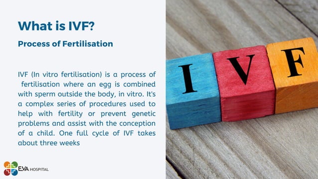 Brief Explanation About IVF | PDF