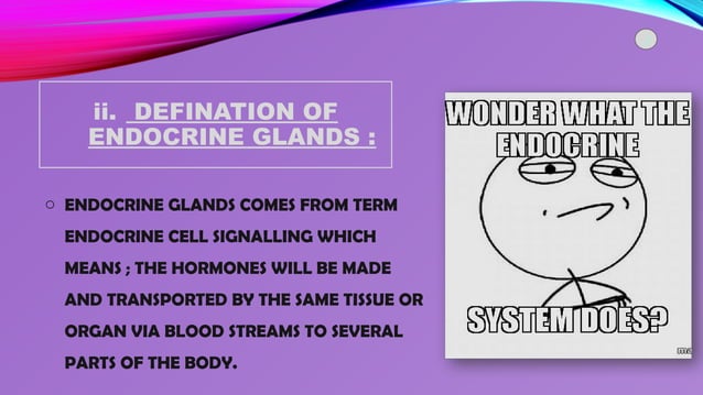 brief description_endocrine system_.pptx