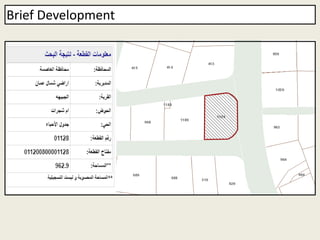 Brief development | PPT