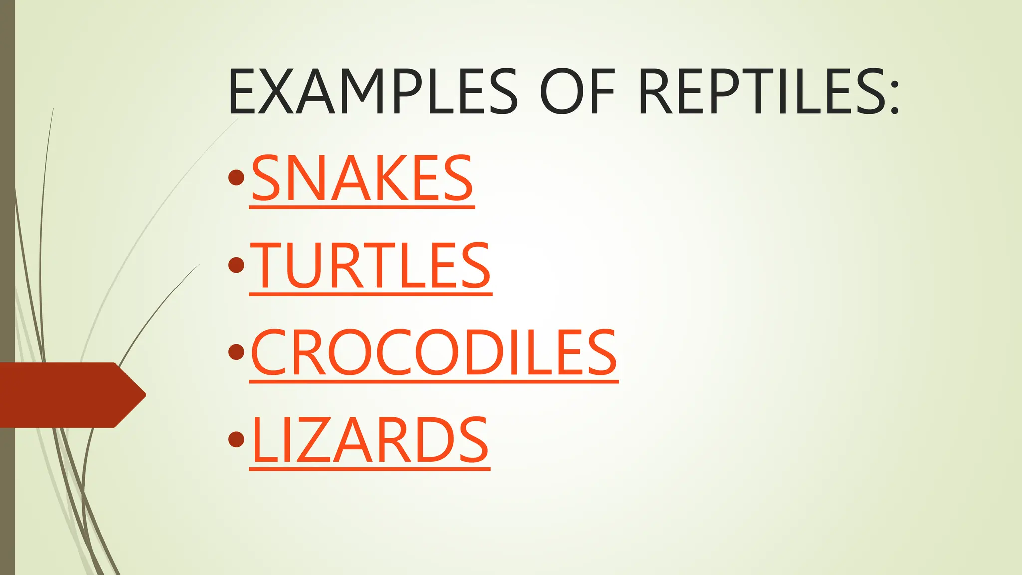 BRIEF HERPETOLOGY REVIEW.pptx