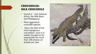 BRIEF HERPETOLOGY REVIEW.pptx