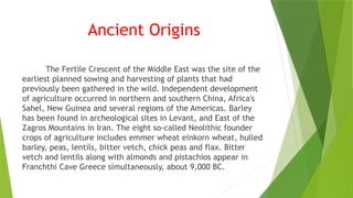 BRIEF HISTORY OF AGRICULTUREDevelopment.pptx