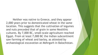 BRIEF HISTORY OF AGRICULTUREDevelopment.pptx