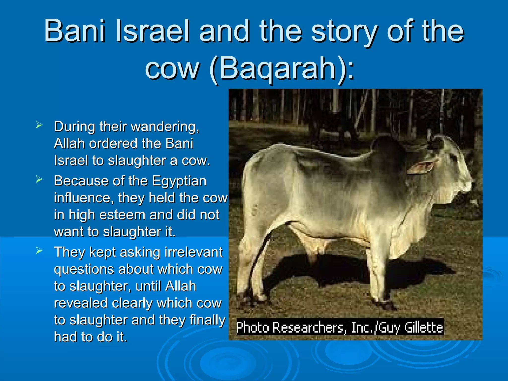 Brief History of Bani Israel | PPT