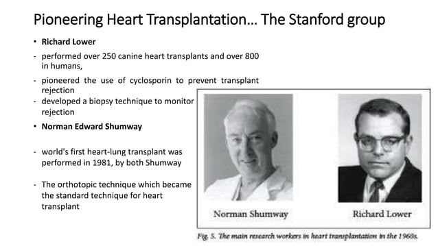 Brief history of cardiac surgery | PPTX | Heart and Cardiovascular ...