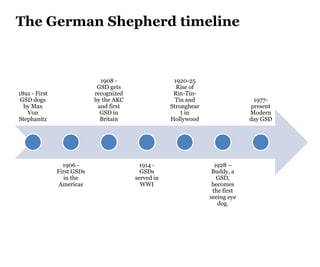 Brief History of Dog Time | PPTX