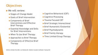 Brief Interventions and Breif Therapies for Mental Health | PPTX