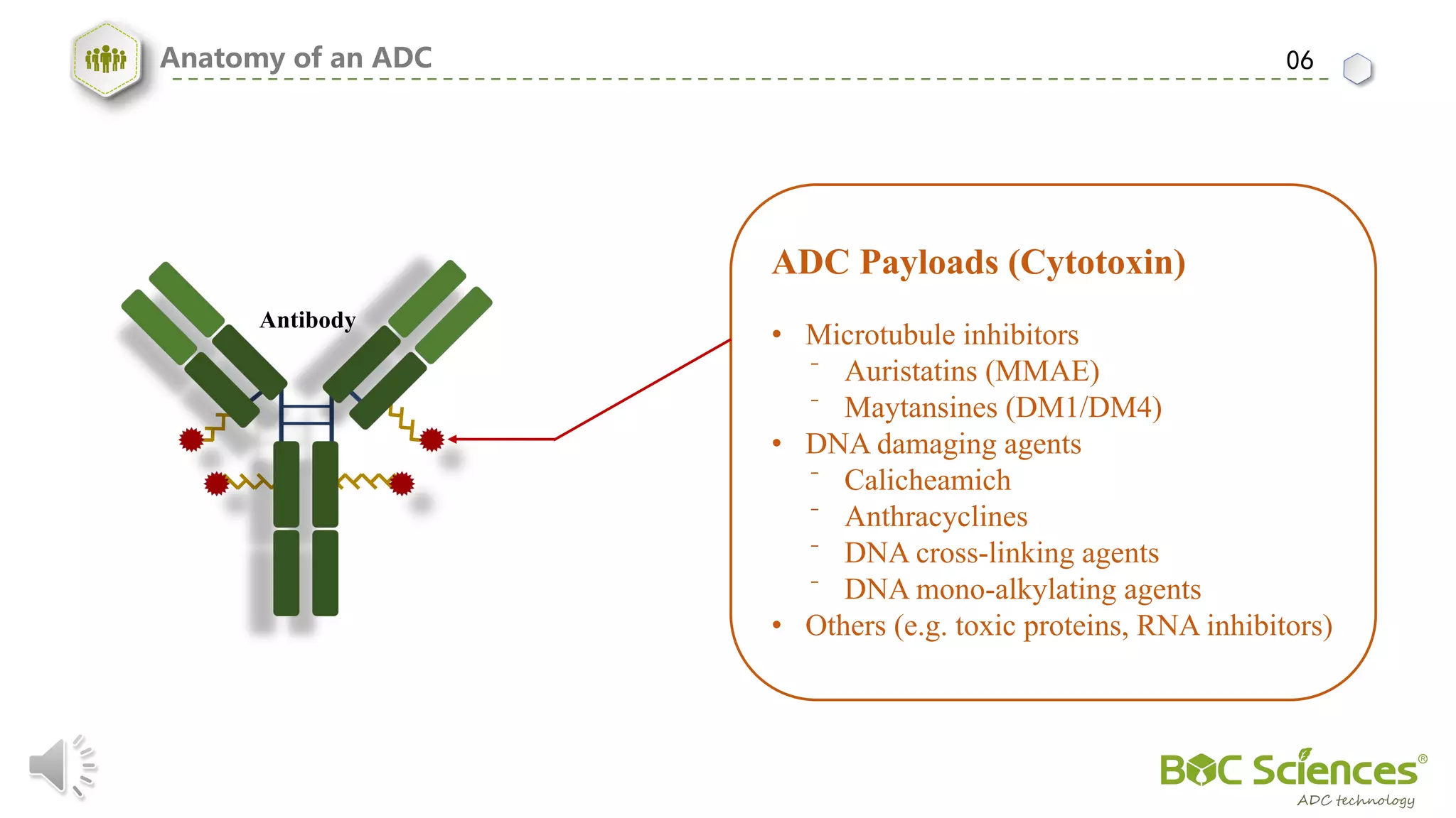 Brief Introduction of Antibody Drug Conjugates | PDF