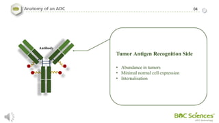 Brief Introduction of Antibody Drug Conjugates | PDF