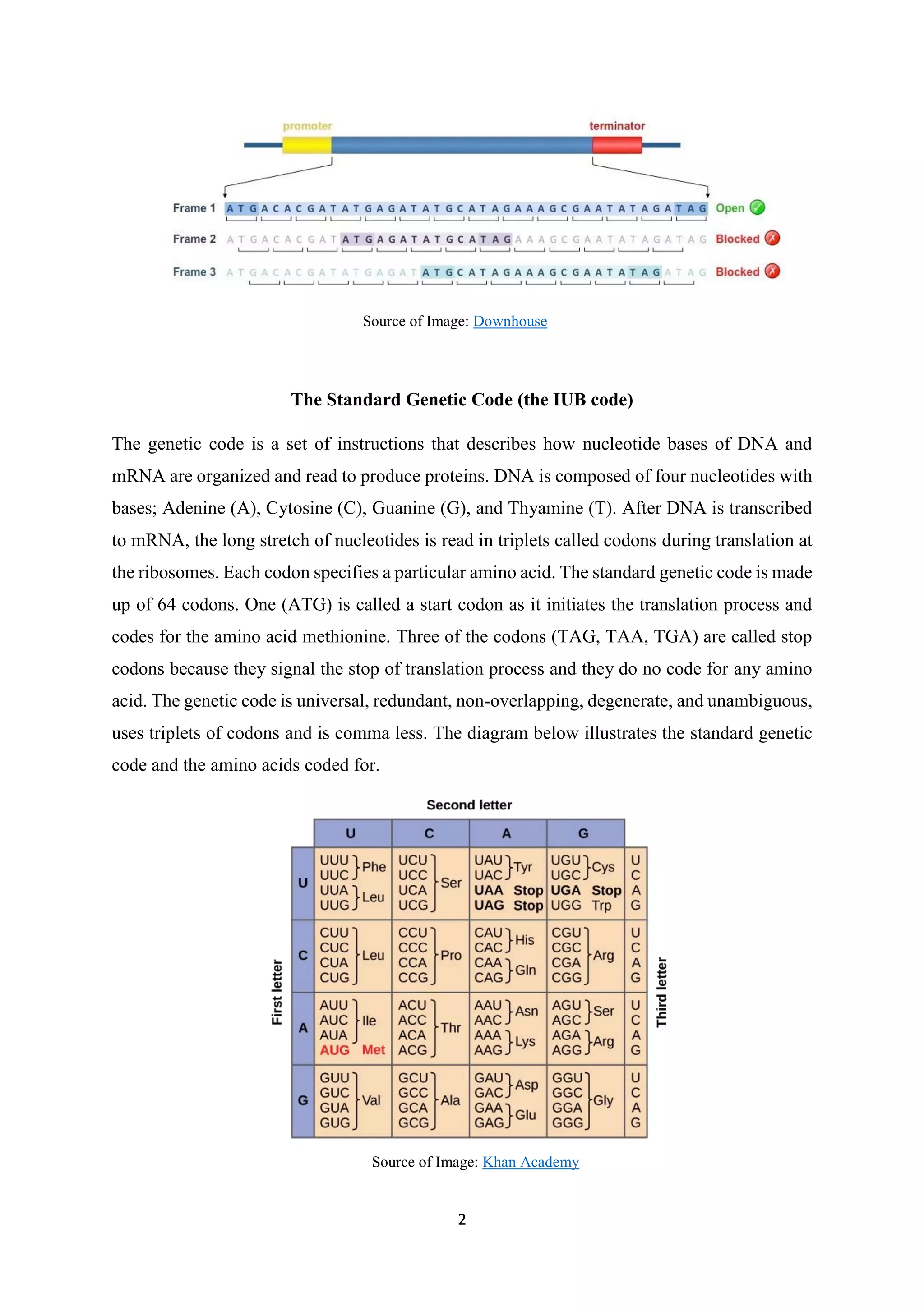 BRIEFLY ON GENES, READING FRAMES AND THE GENETIC CODE | PDF
