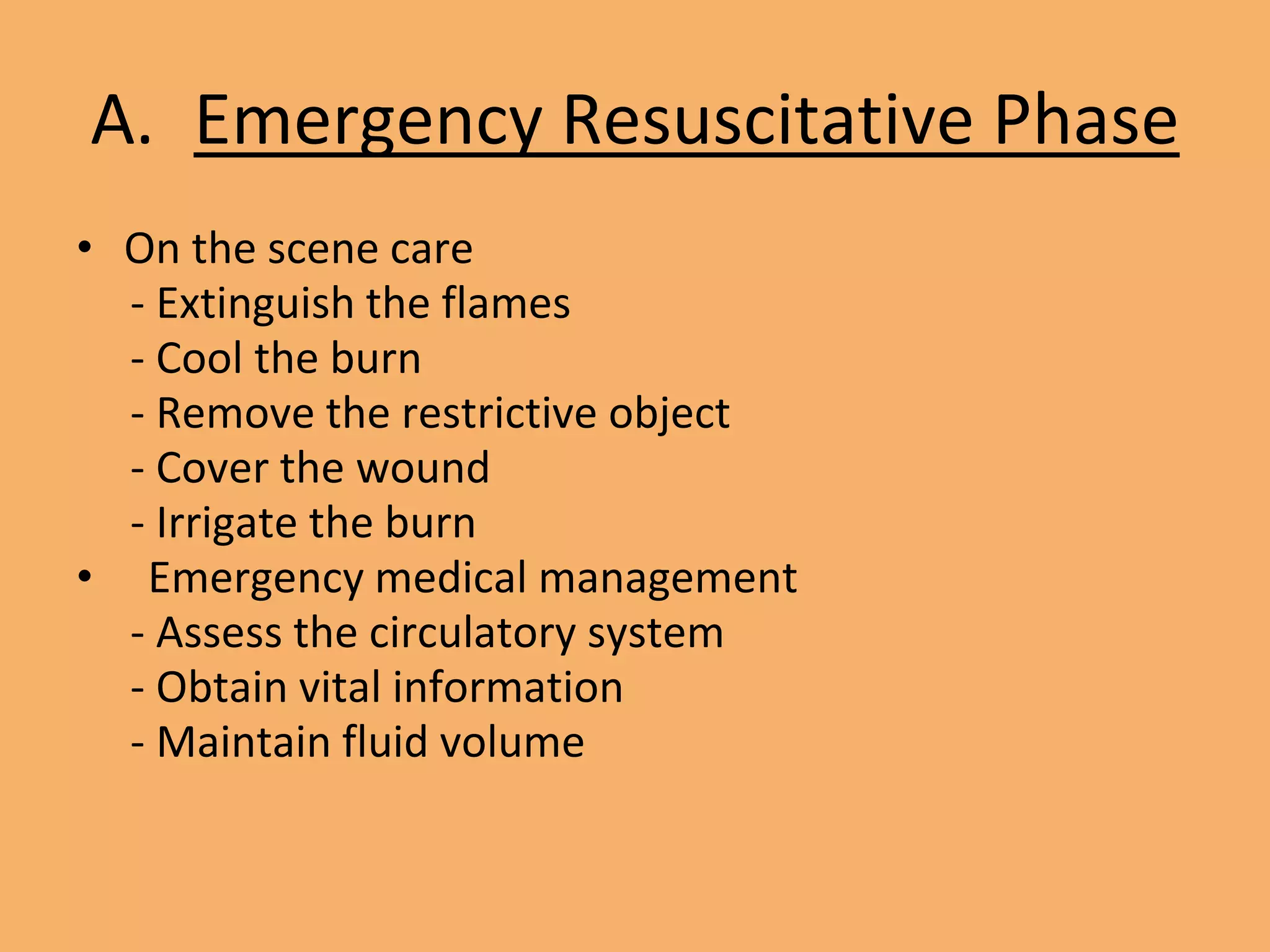 Brief Seminar on burns | PPTX