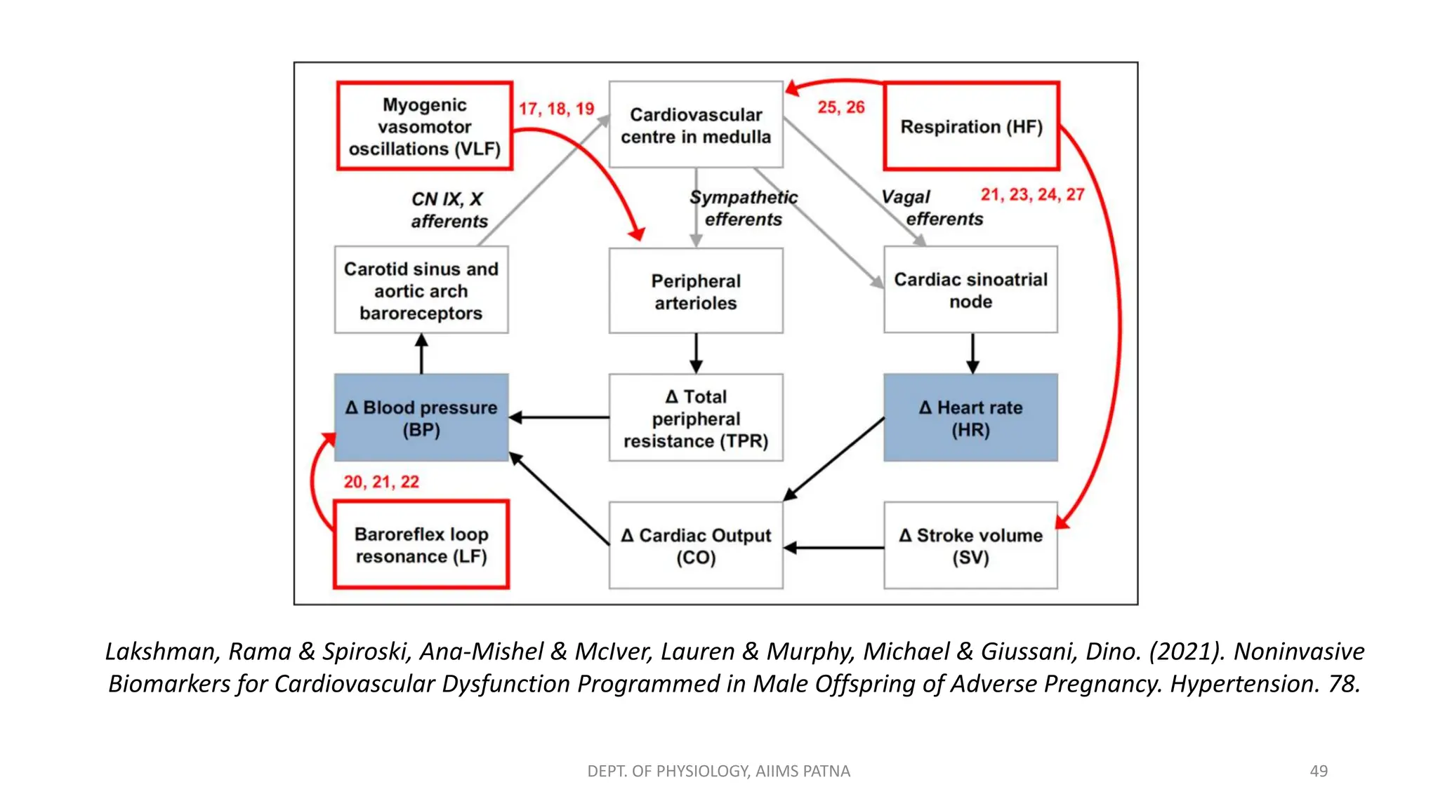 Brief Overview of Autonomic Function Tests | PPTX