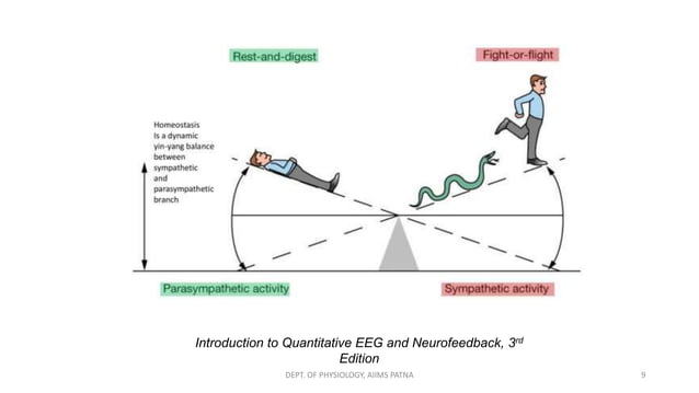 Brief Overview of Autonomic Function Tests | PPT | Free Download