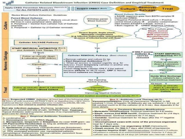 Brief pathway to handle temporary HD catheter | PPTX | Infectious ...