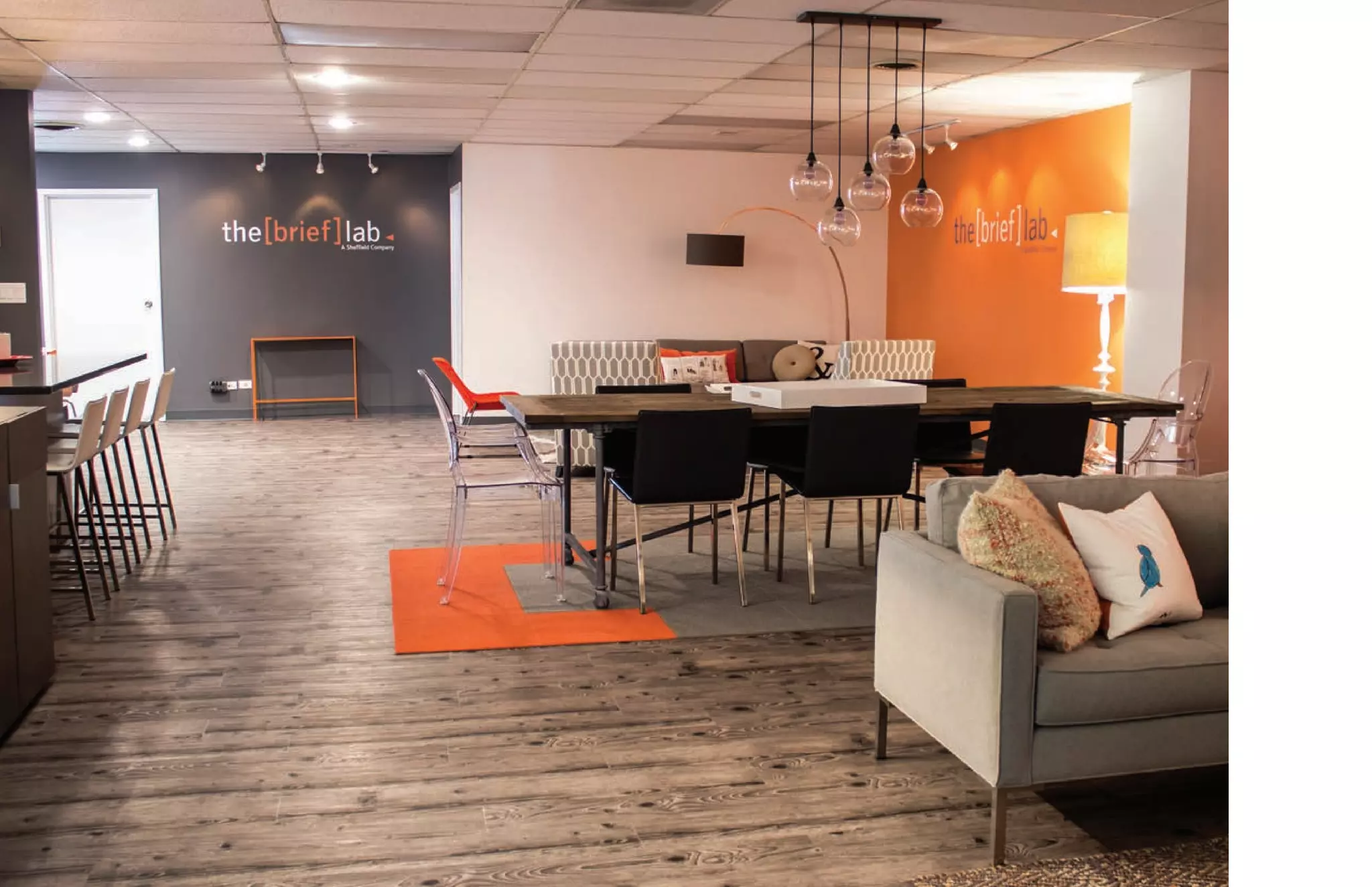 BRIEF Lab Brochure | PDF