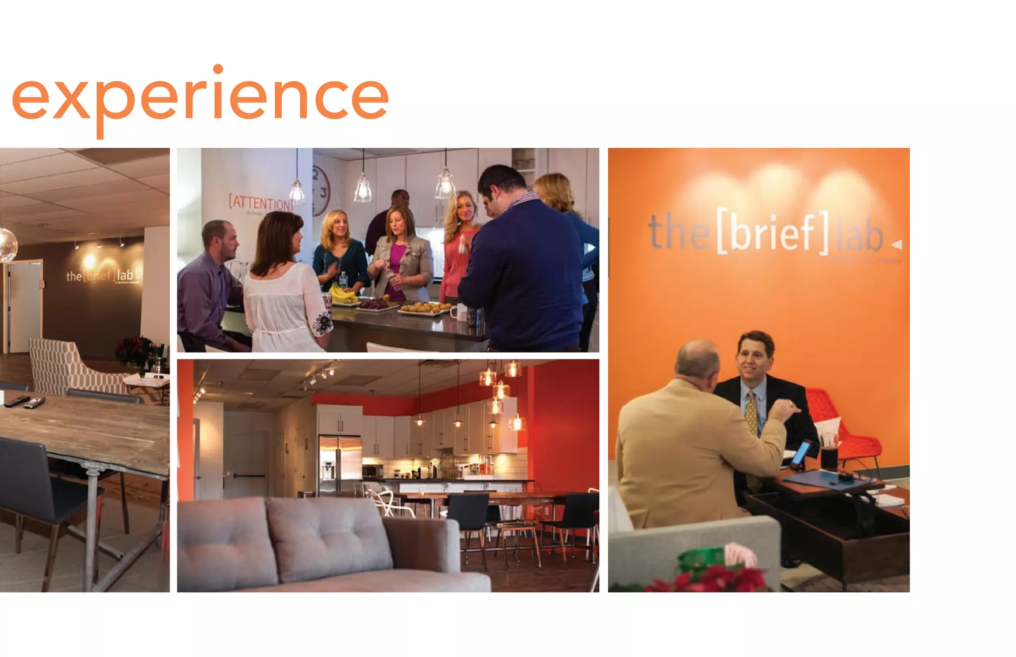 BRIEF Lab Brochure | PDF