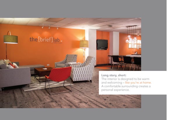 BRIEF Lab Brochure | PDF