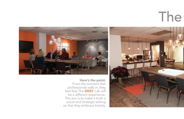 BRIEF Lab Brochure | PDF