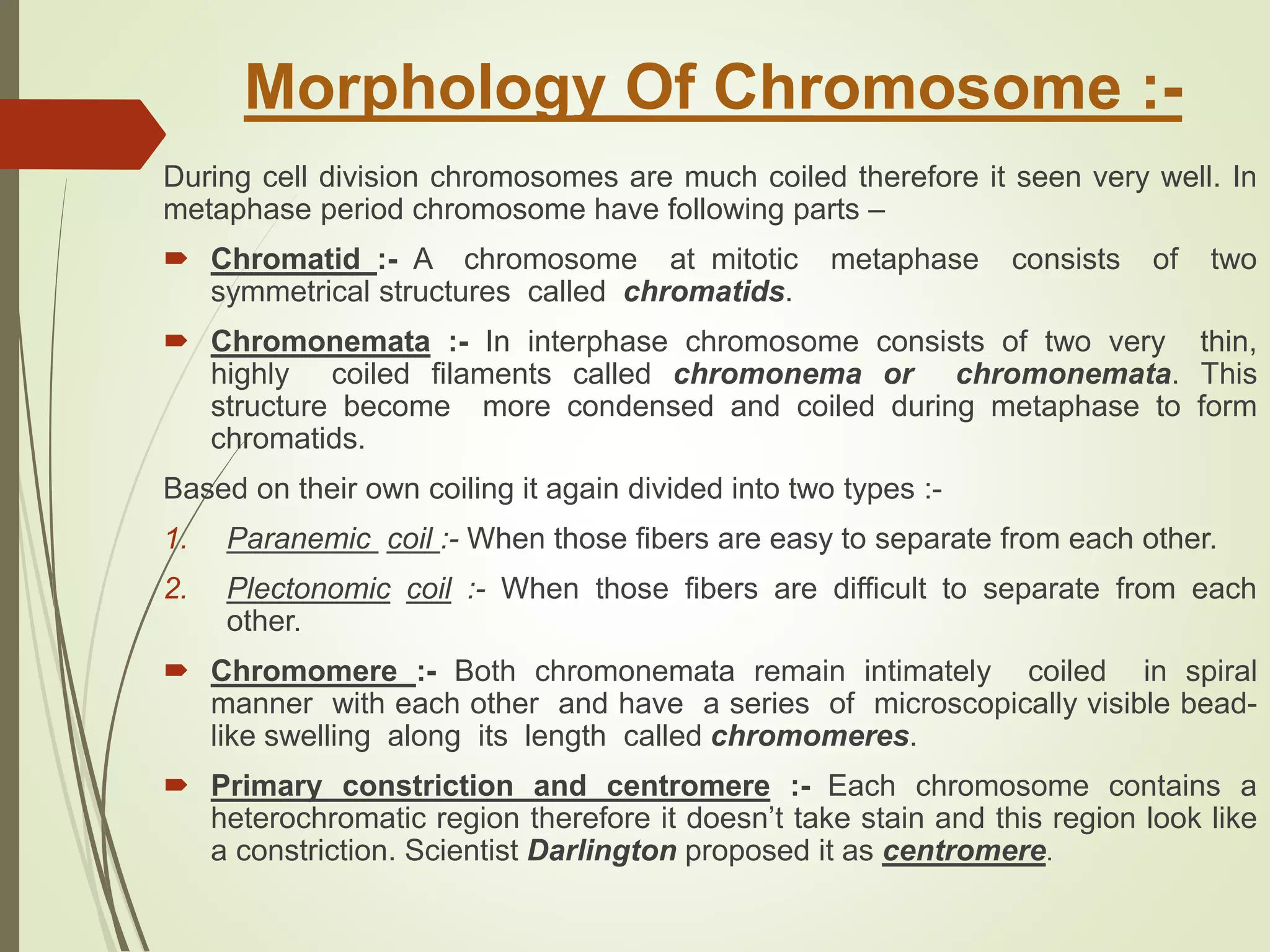 Brief stc of chromosome | PPTX