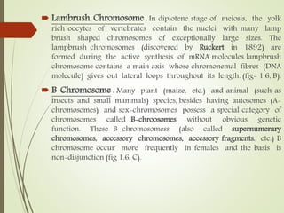 Brief stc of chromosome | PPTX